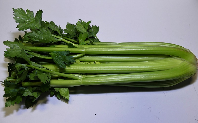 Celery – Large Half – Garden City Produce
